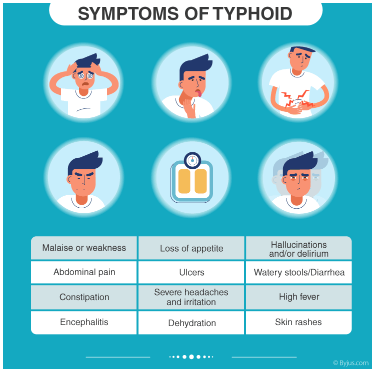 Infographic on Typhoid Fever by Taksheel Dembla - Infogram