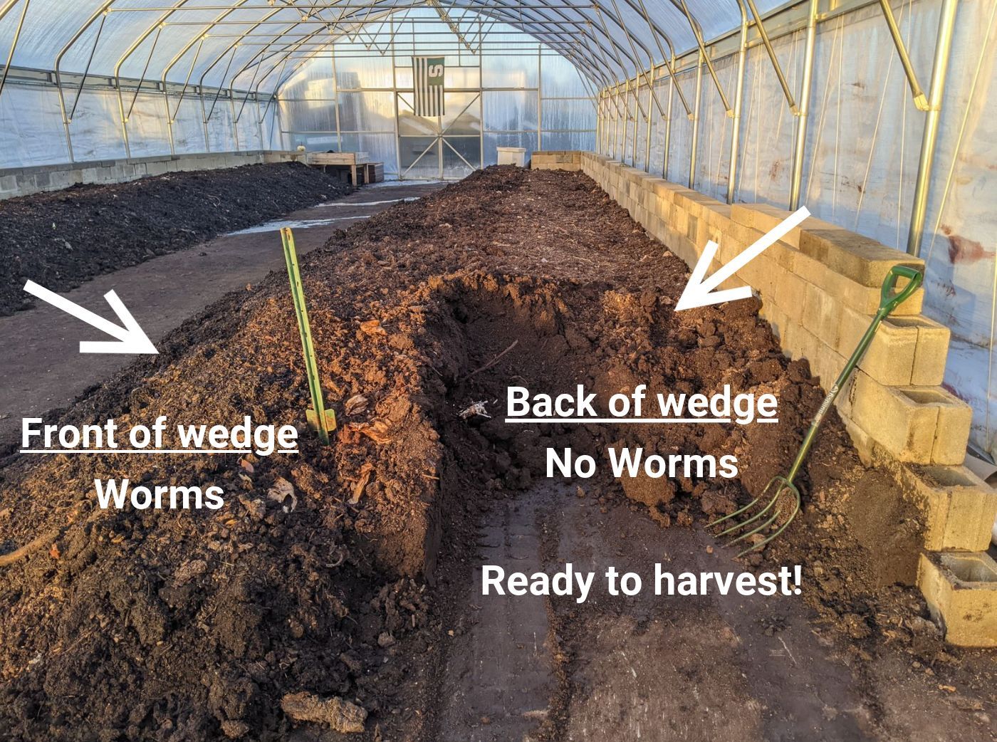 Worm Composting Feeding System