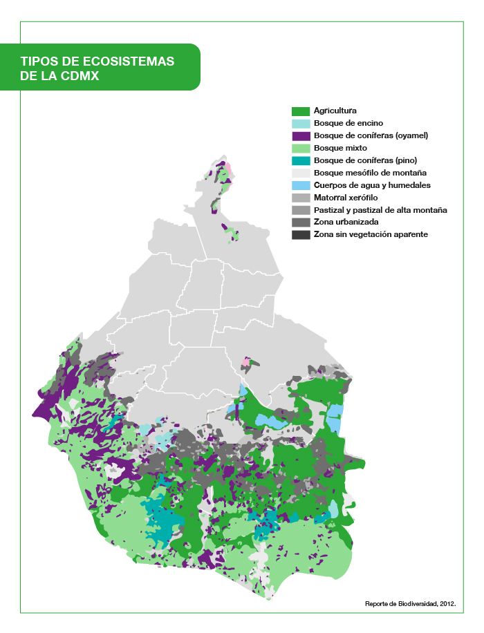 ECOSISTEMA EN LA CDMX by Irma Gonzalez - Infogram