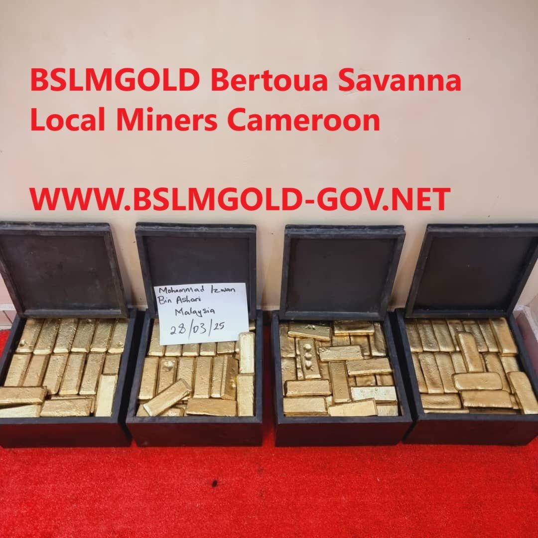 What is a Gold Mandate License in Cameroon BSLMGOLD by Bslm Gold - Infogram