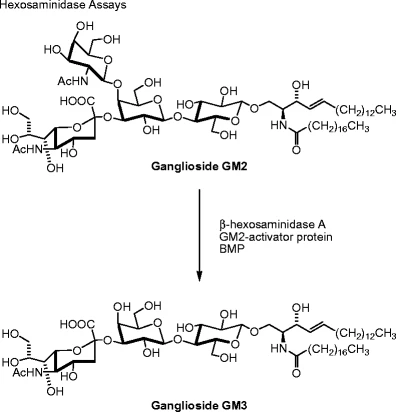 Biochemistry infographic by Evan Schreier - Infogram