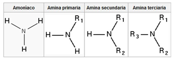 Amidas Vs Aminas CHEM 102 : Organic & Biolgical Chem College Of
