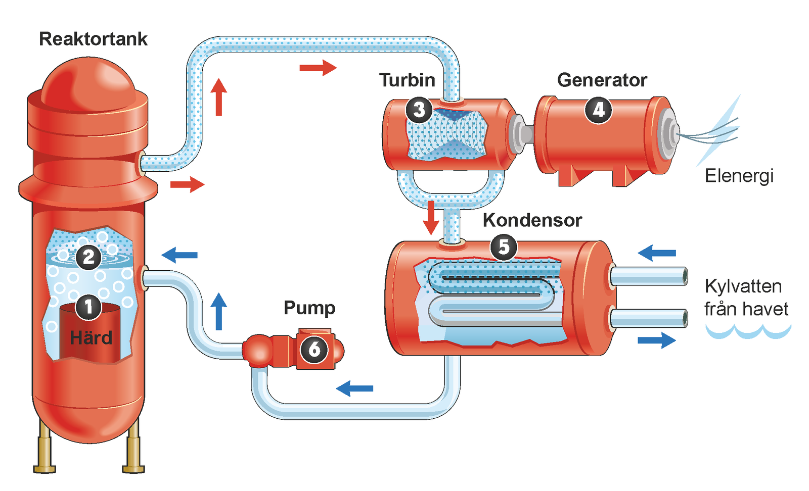 Copy: Kärnkraftsverk - så fungerar det - Infogram