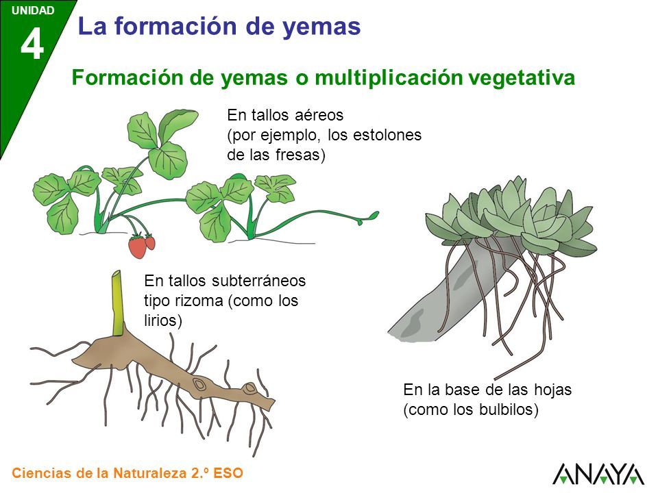 Ocean Sand by Jahir Diaz - Infogram