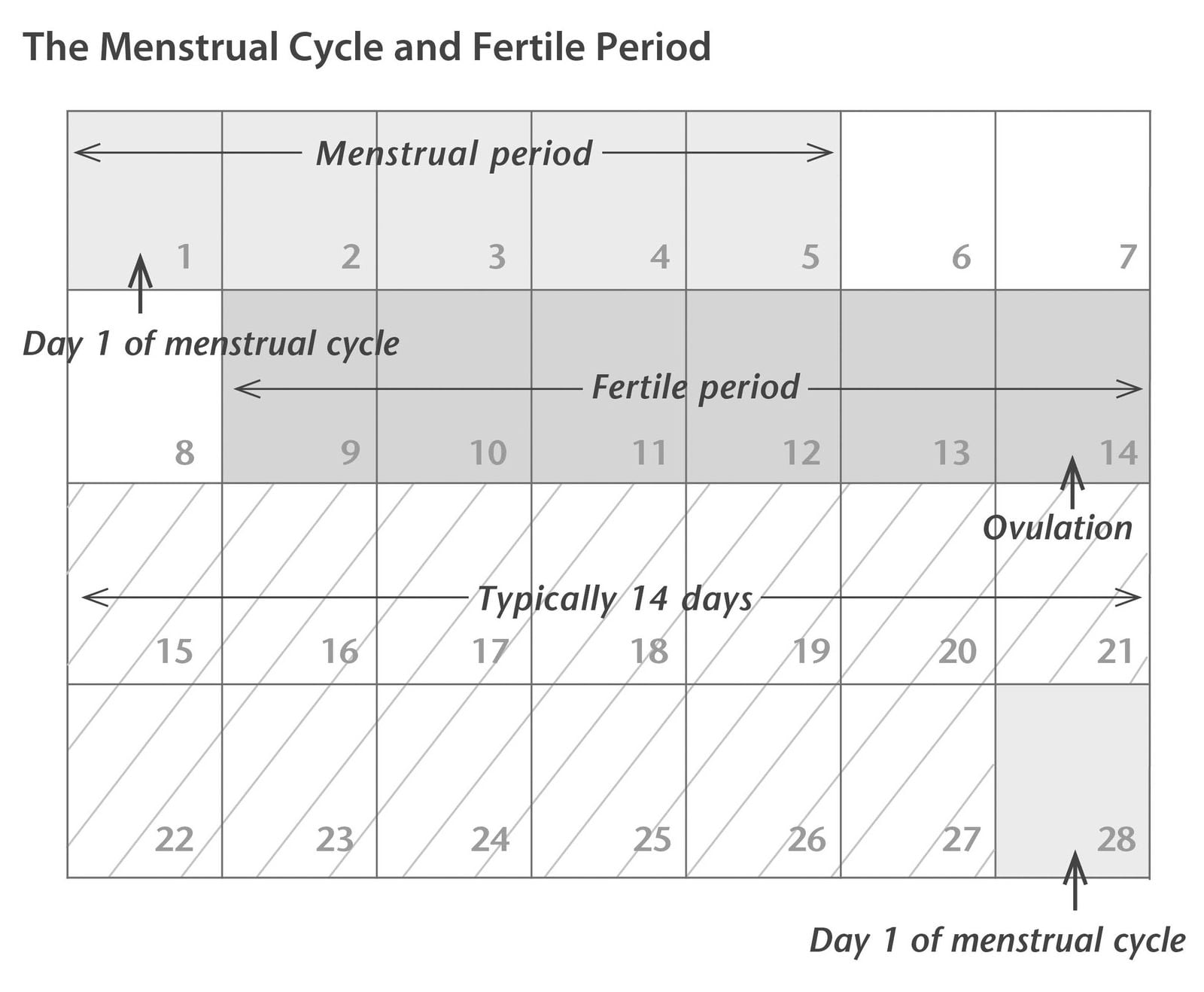 Birth Control Method Comparison Chart Effectiveness Of Birth Control