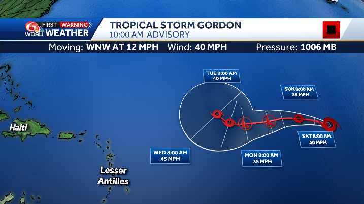 Tropical Storm Tropical Storm Francine Tracker: See Projected Path,