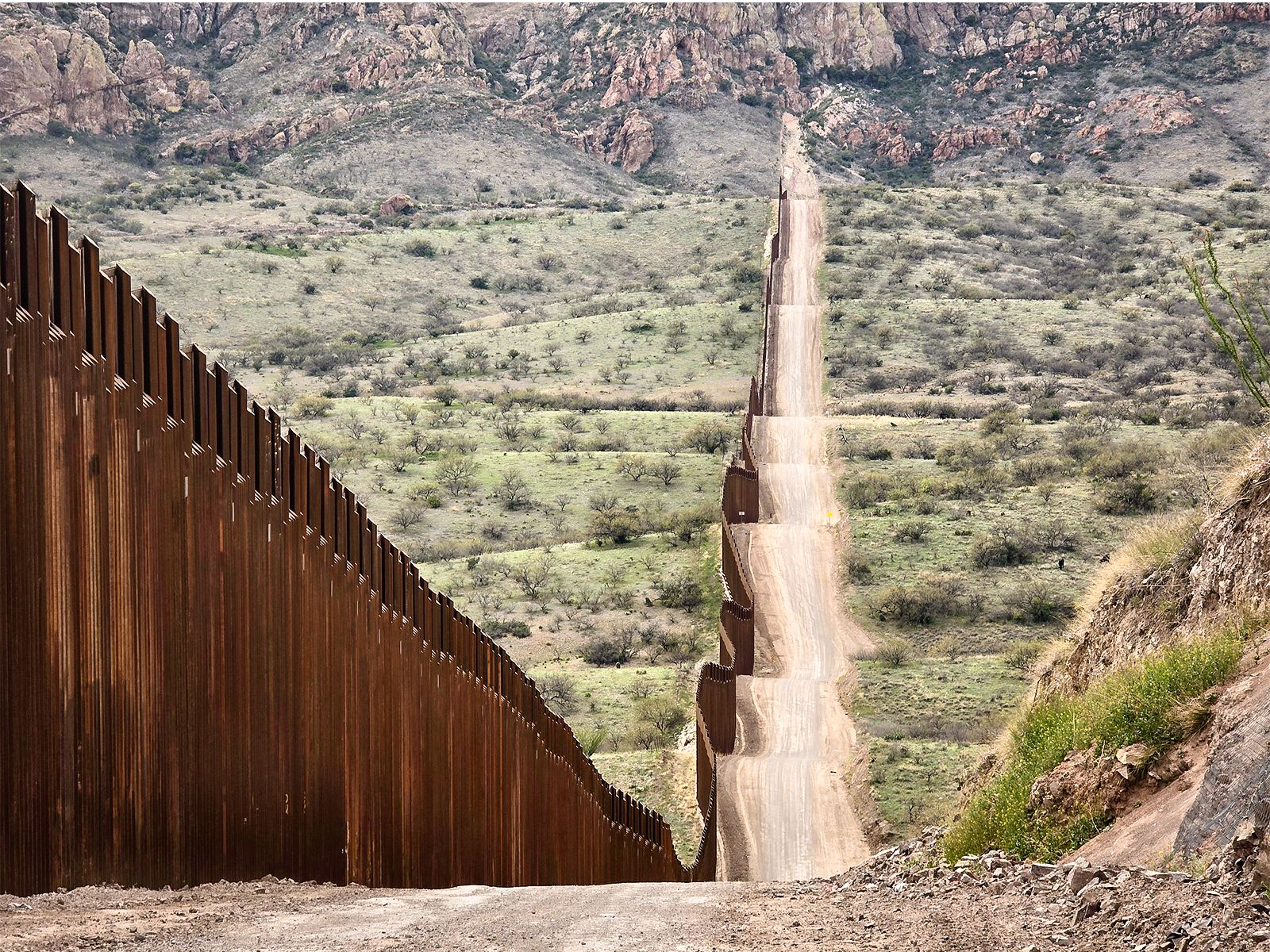 Today’s highly interesting read (04/12/2024): ‘You’re Either a Cowboy ...