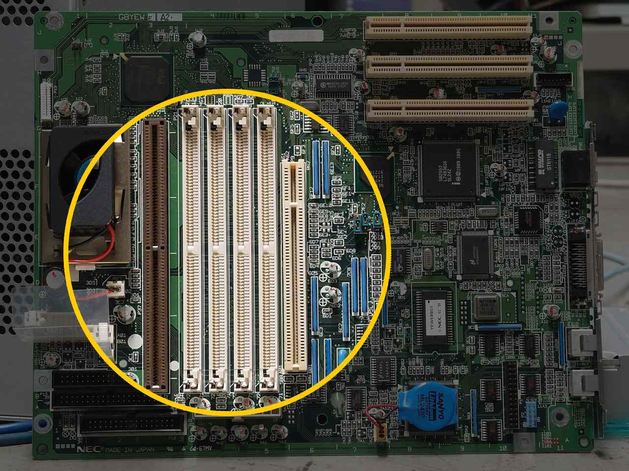 CPU Infographic by Serena Chastain - Infogram