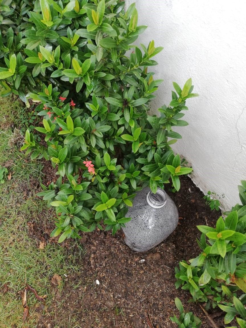 SISTEMAS DE RIEGO Y RECOLECCIÓN DE AGUA EN LAS CULTURAS PRECOLOMBINAS ...