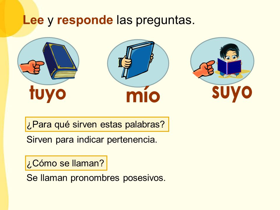 Mio Tuyo Suyo Pronombres Posesivos: Cuáles Son, Tipos Y Ejemplos