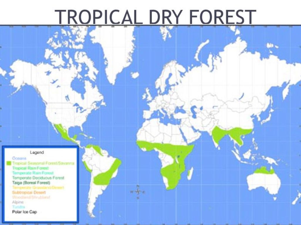 Tropical Deciduous Forest Map Why Do Maps Like This Color The