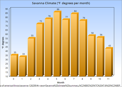 Savanna Infographic Project. by Ali Abusnineh - Infogram