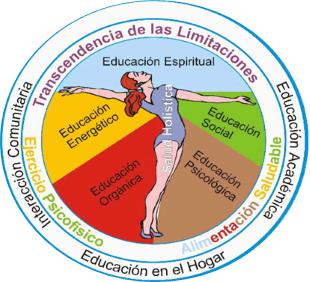 infografia sobre la educación holistica by anahi moya - Infogram
