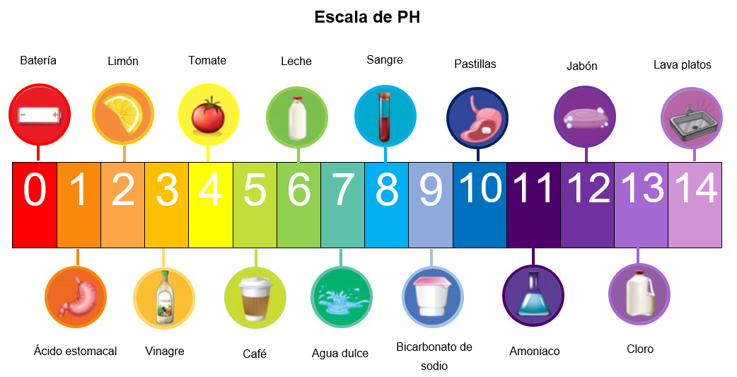 Escala De Ph Escala De Valor De Ph Para Soluções ácidas E Alcalinas