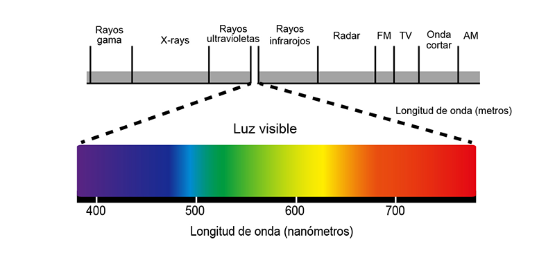 espectro visible de luz by Luz Elena Agaton - Infogram