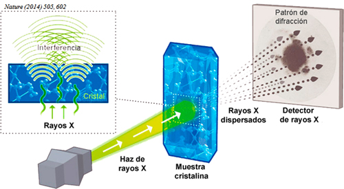 Rayos X by NAYELI ELIZABETH NAVARRO ZAPATA - Infogram