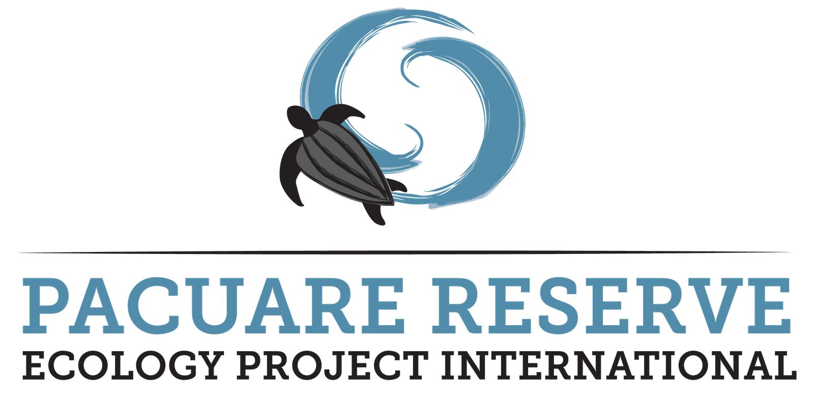 Pacuare Reserve - Sea Turtles Nesting Data by Info Costa Rica - Infogram