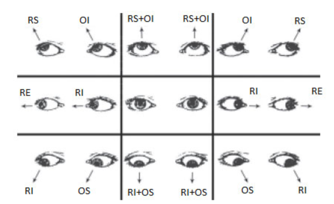 POSICIONES DE MIRADA by Maria Forero - Infogram