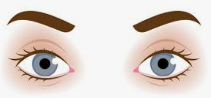 POSICIONES DE MIRADA by Maria Forero - Infogram