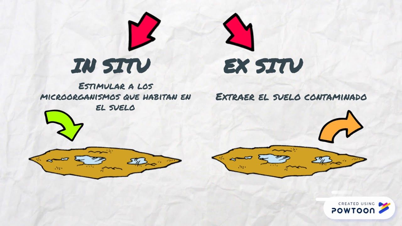Biorremediación by Magus Vasquez - Infogram